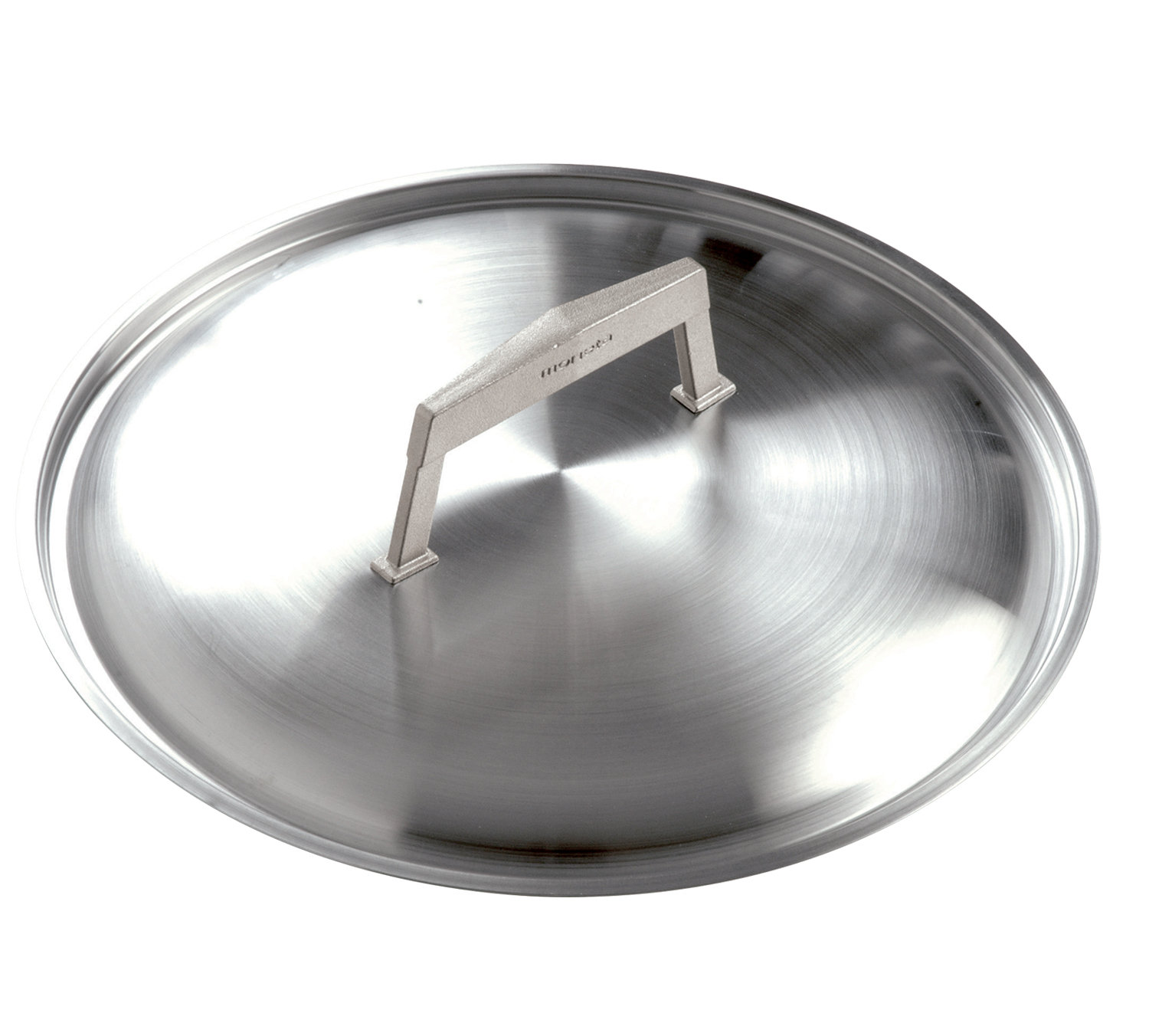 Moneta Pro Stainless Steel Lid | Wayfair