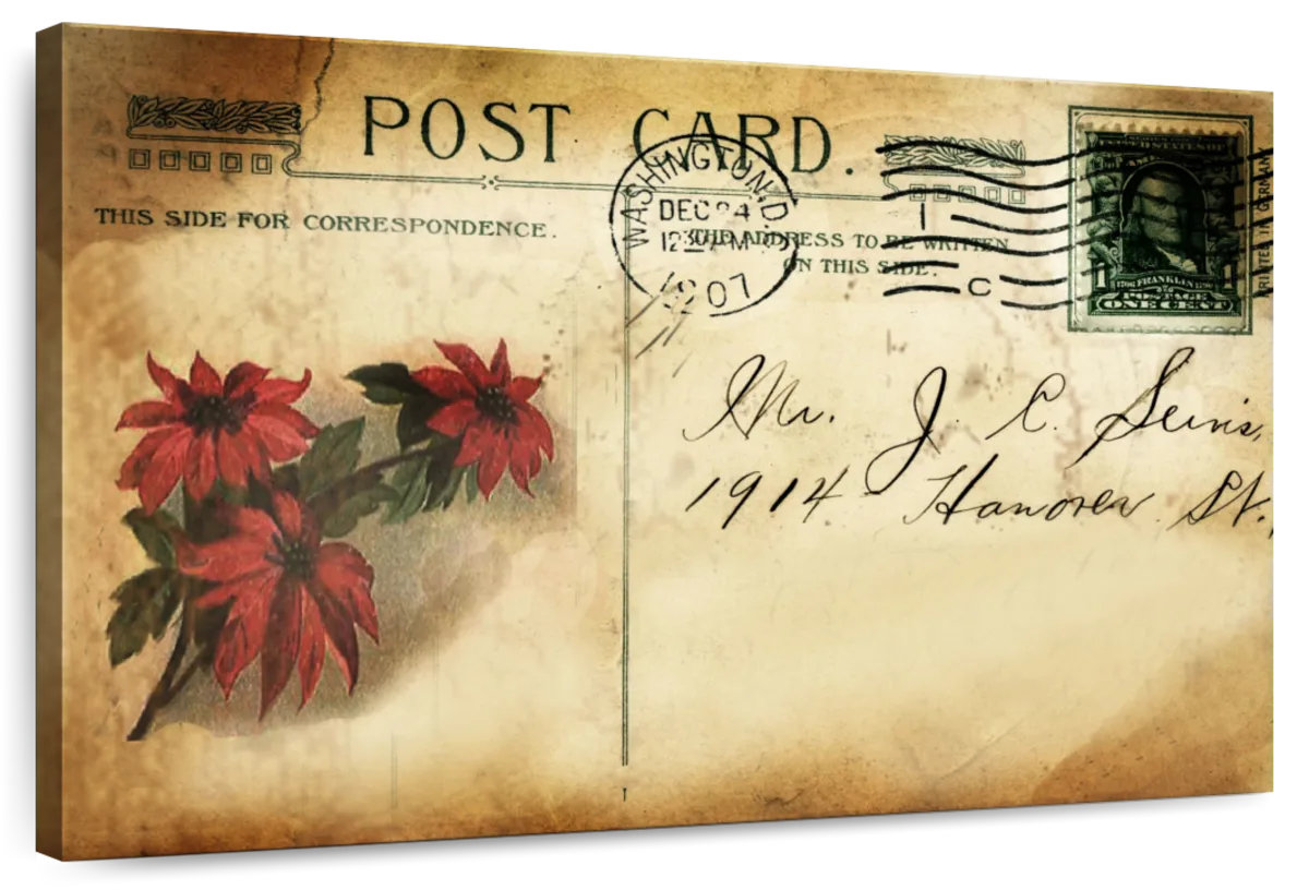 Elephant Stock Vintage Postcard Love | Wayfair