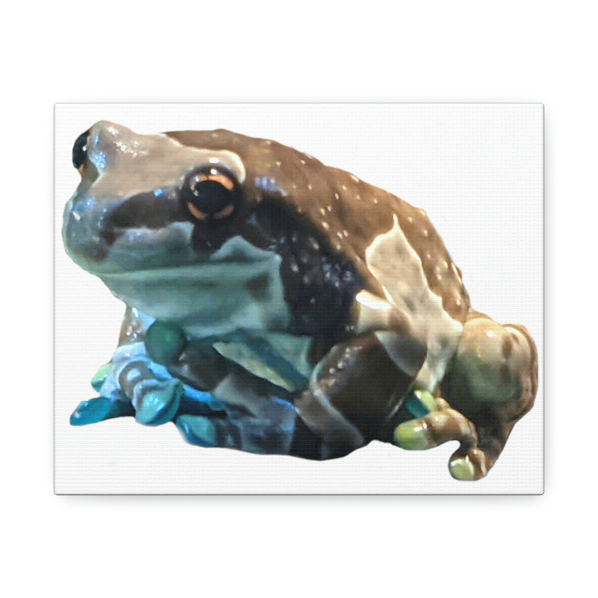 Latitude Run® Toad Stretched - non encadrée, impression sur toile ...