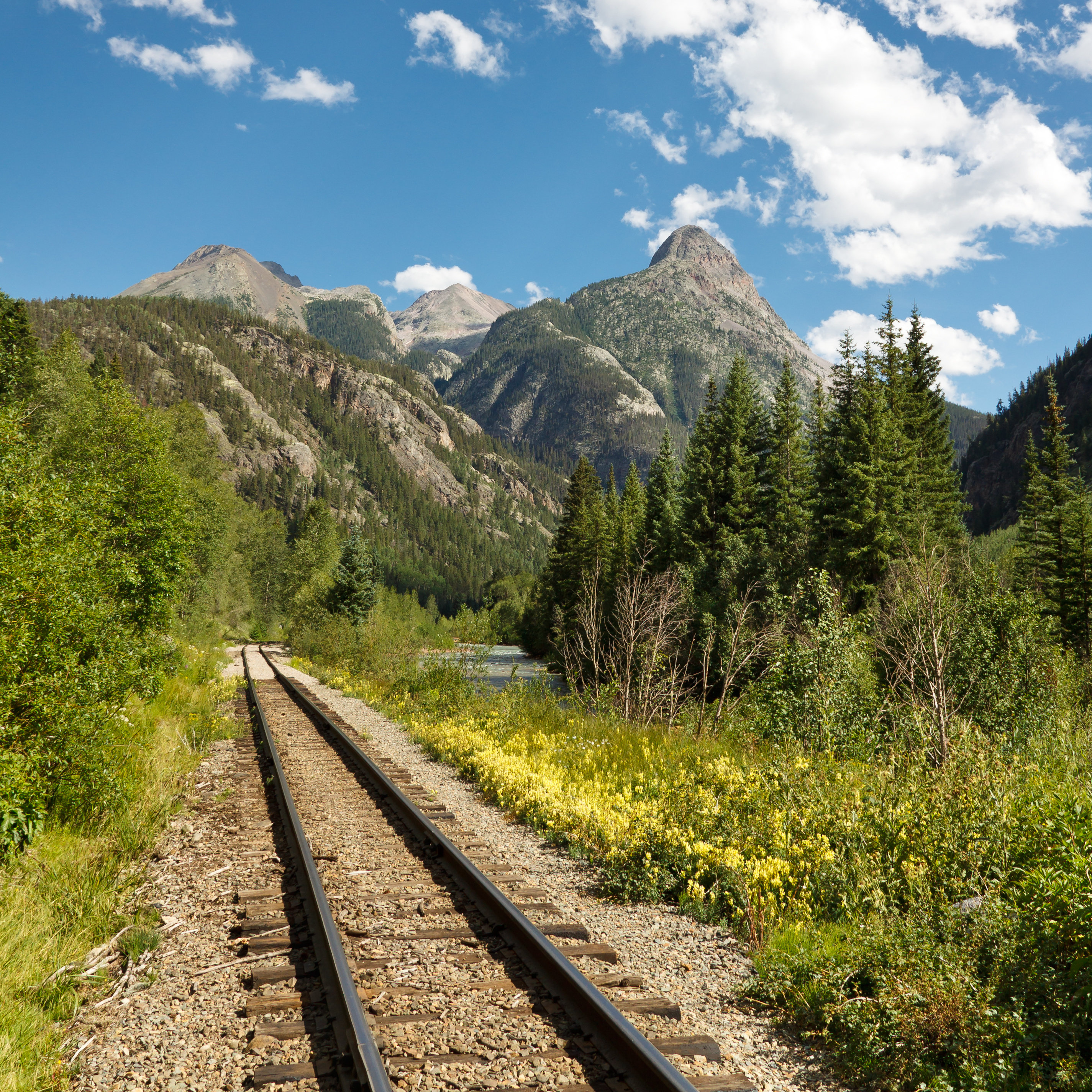 Millwood Pines Narrow Gauge Railroad Tracks by Patrickpoendl - Wrapped ...
