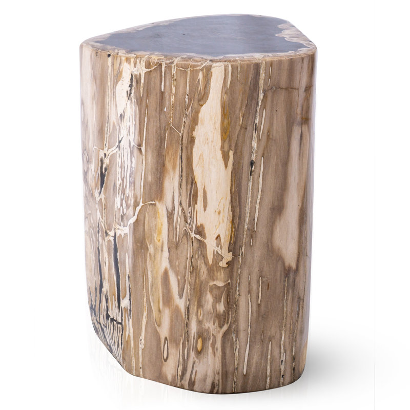 Daribali Design Fossil Relics End Table | Wayfair