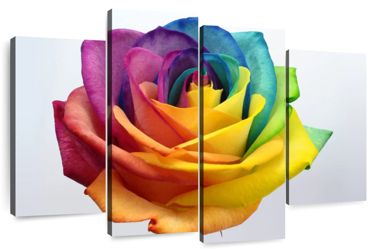 Lark Manor™ Harnek Rainbow Rose | Wayfair