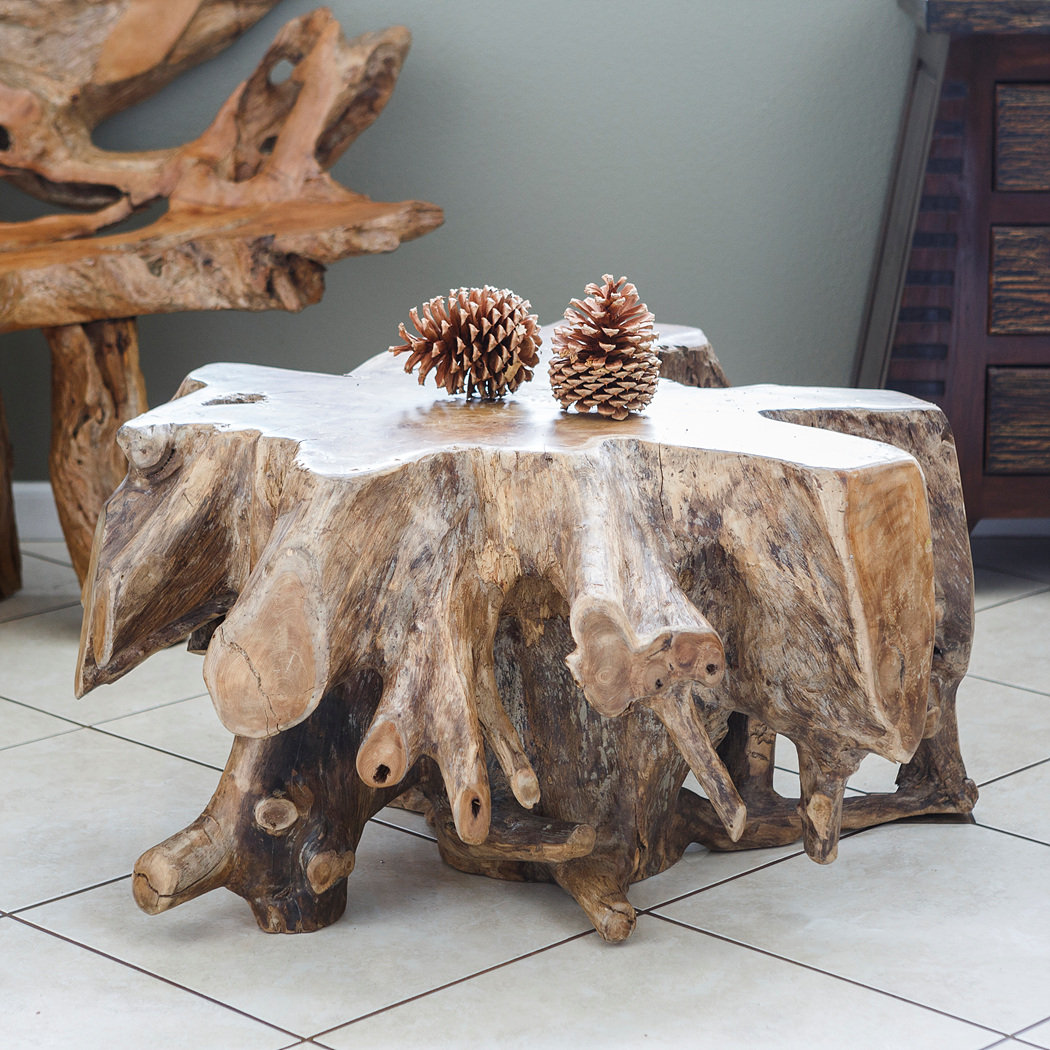 Arlmont & Co. Habini Teak Root Round Coffee Table 33-36" Dia. X 20"H ...