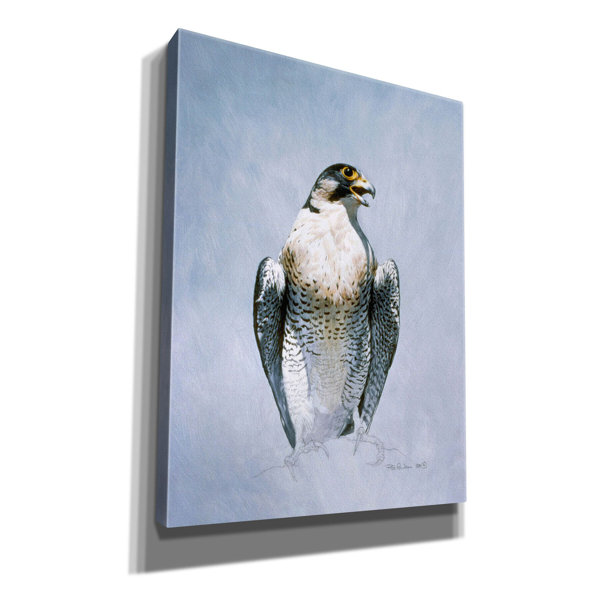 Millwood Pines " Peregrine Falcon " by Ron Parker - Wayfair Canada