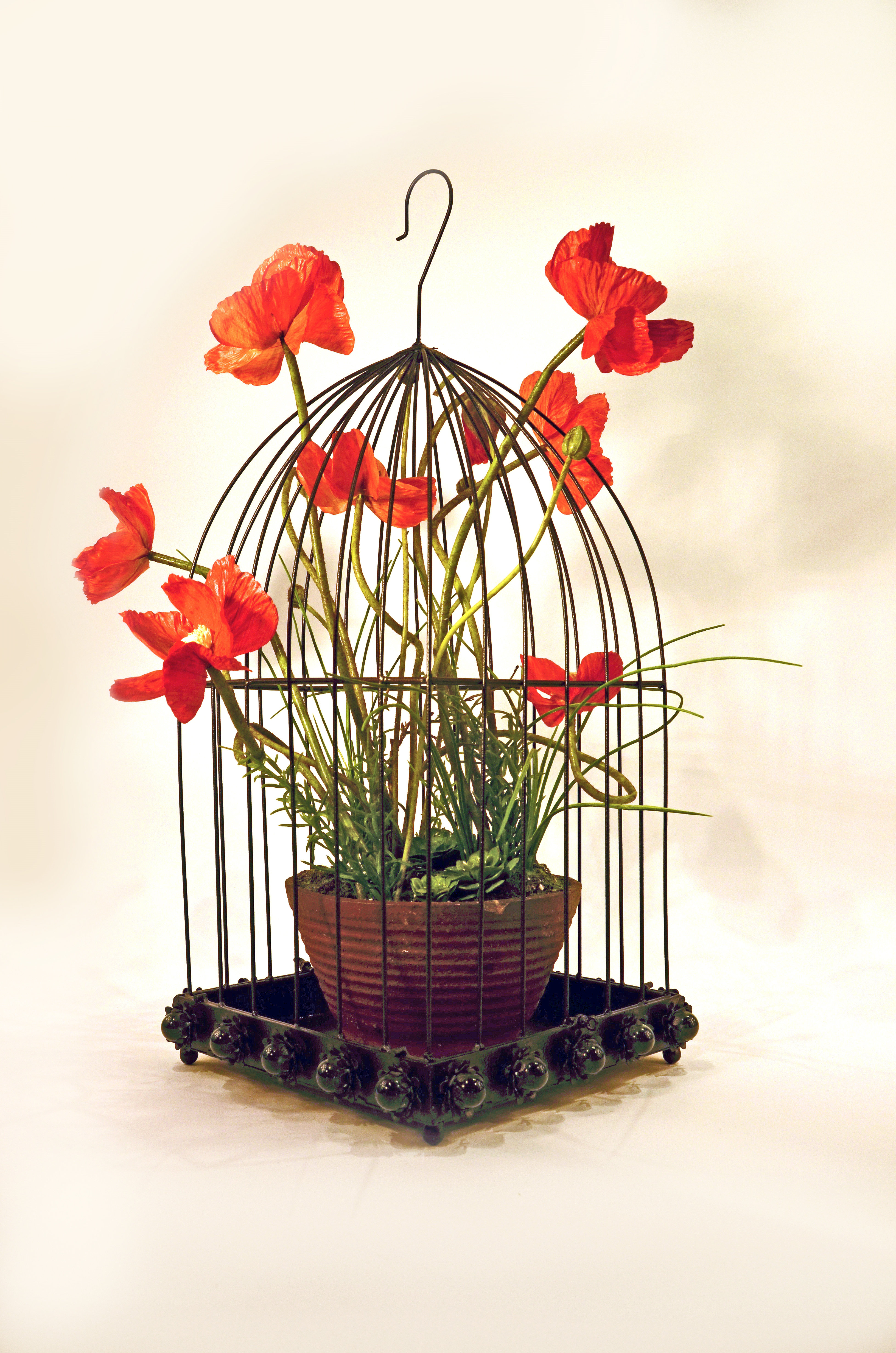 Metrotex Designs Wild Rose Design Bird Cage with Hook | Wayfair
