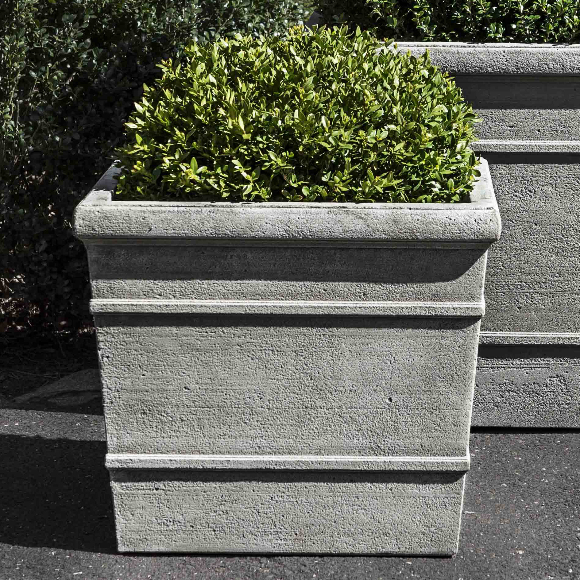 Darby Home Co Marin Cast Stone Planter Box - Wayfair Canada