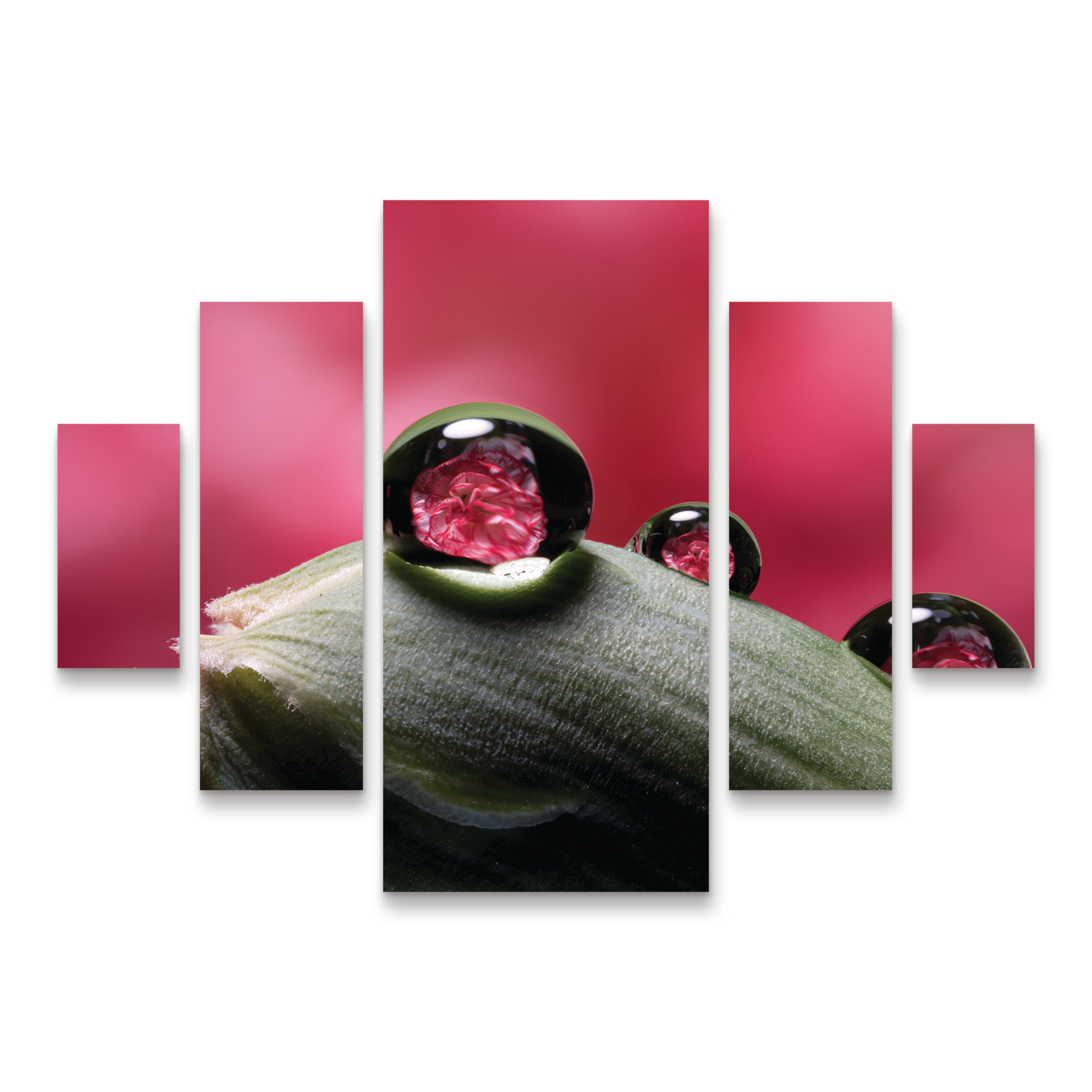 Red Barrel Studio® Gordon Semmens Dew Drops Macro 06 5 Piece Panel Set ...