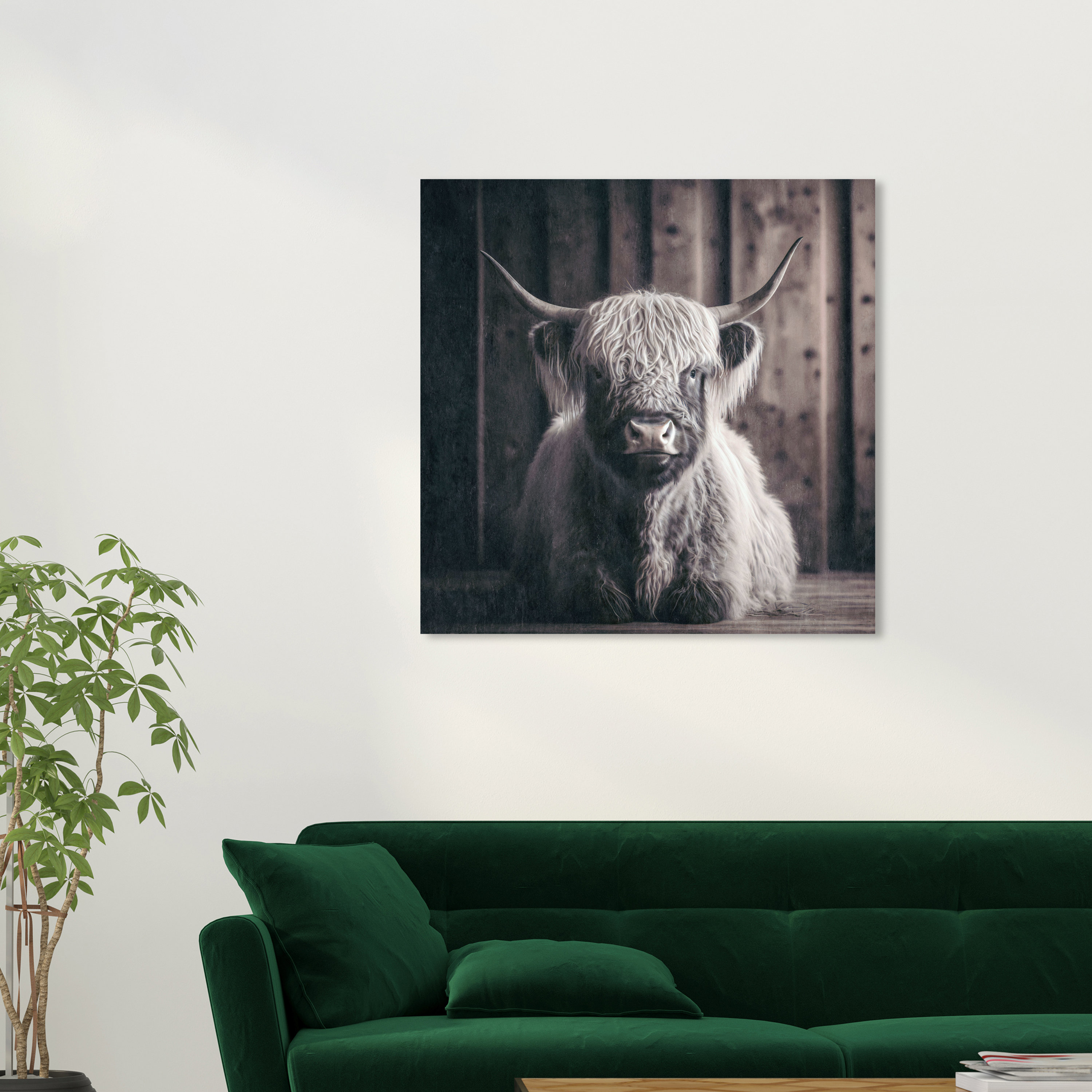 Union Rustic Kathern Baby Highland Cow by Wynwood Studio | Wayfair