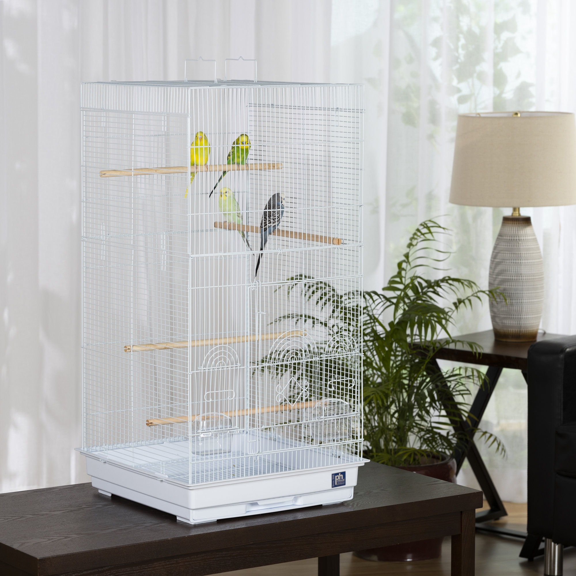 Archie & Oscar™ Hilary 36" Steel Flat Table Top Bird Cage with Perch ...