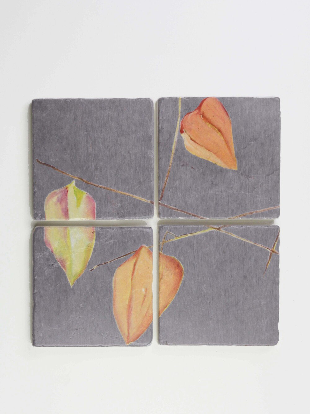 India & Purry Square 4 Piece Coaster Set | Wayfair