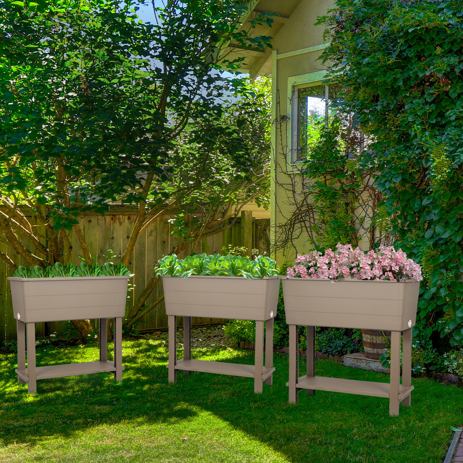 Winston Porter Malysha 3-Piece Self-Watering Plastic Elevated Planter & Reviews - Wayfair Canada