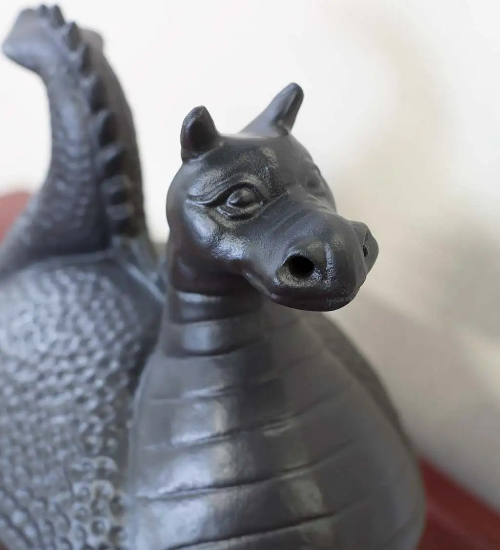 Plow & Hearth Iron Dragon Steamer & Reviews | Perigold