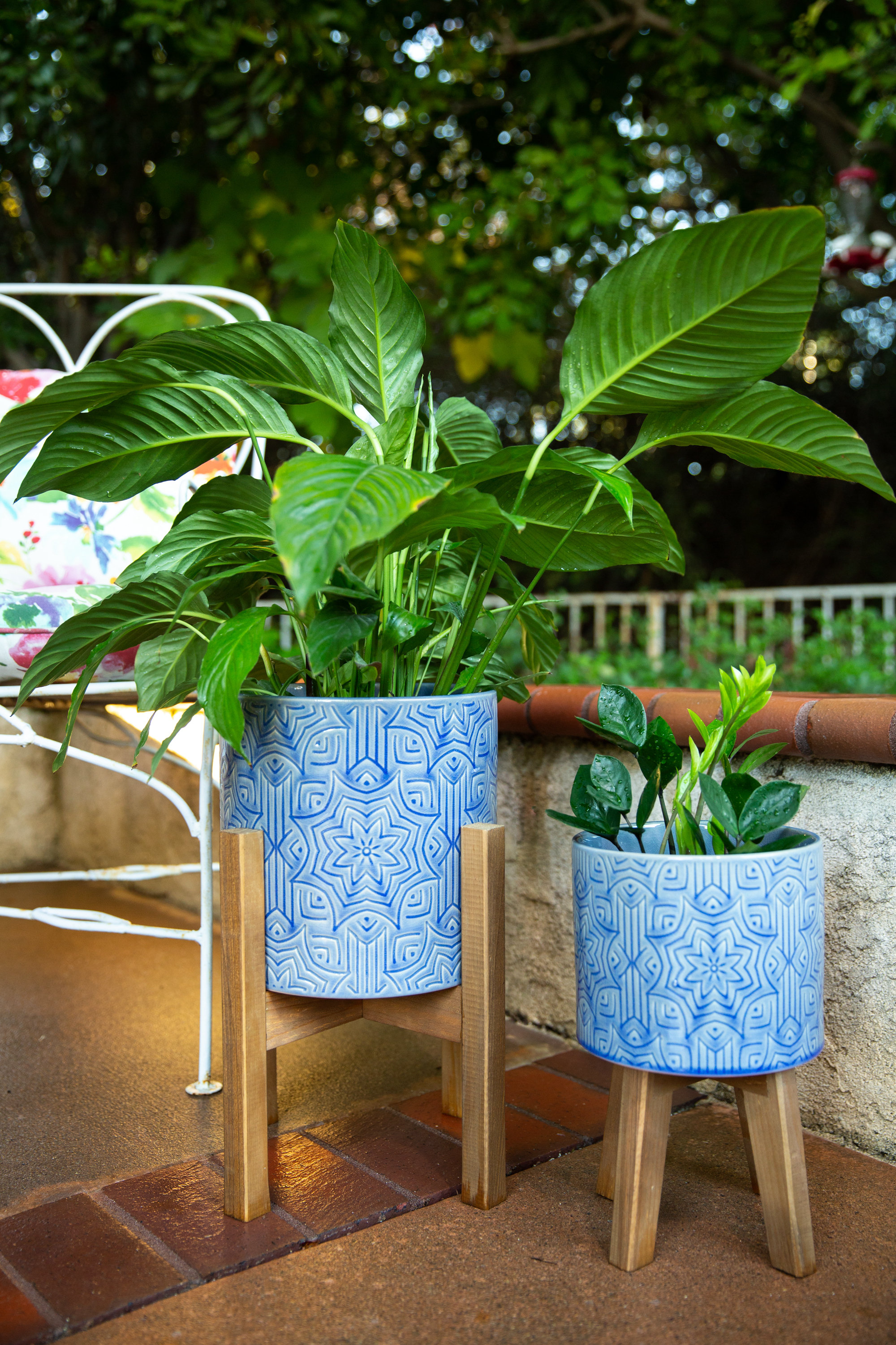 Dakota Fields Star 2 - Piece Ceramic Pot Planter Set & Reviews | Wayfair