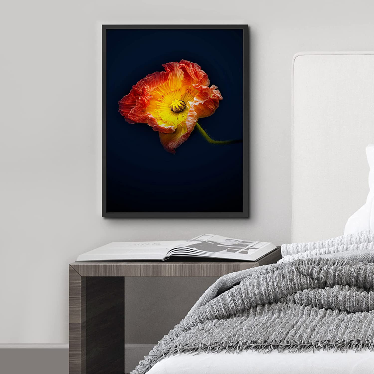 SIGNLEADER Red, Yellow and Orange Carnation Nature Plants - Picture ...