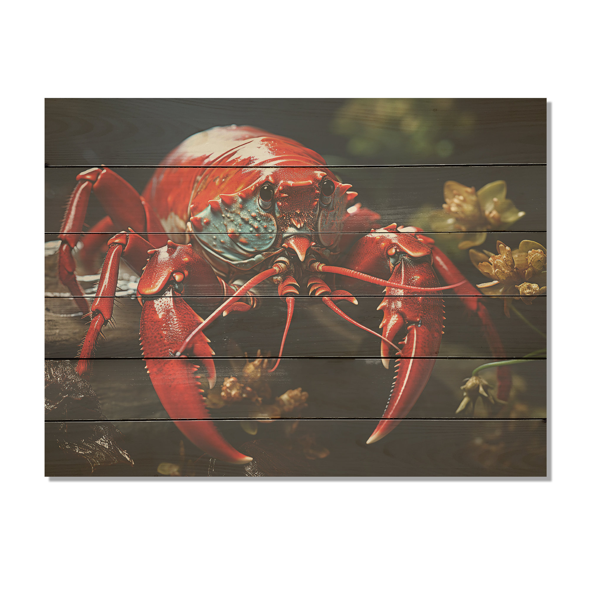 Breakwater Bay Red Mantis Shrimp Photo - Coastal Coral Under Water Wood ...