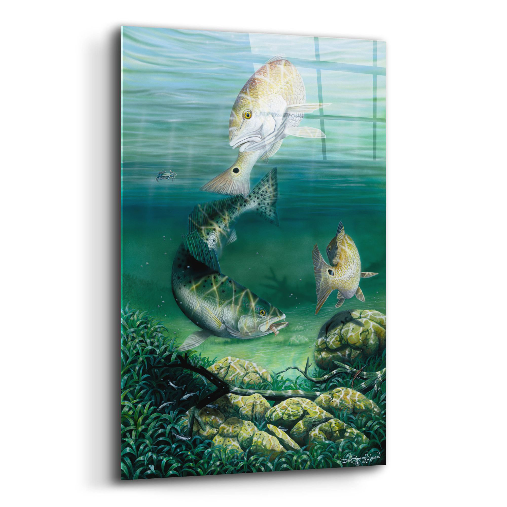 Dovecove 'Competition Among Friends' By Dann Spider Warren, Acrylic ...