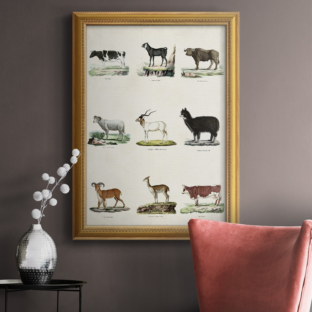 Rosalind Wheeler Antique Animal Chart II Premium Framed Canvas- Ready ...