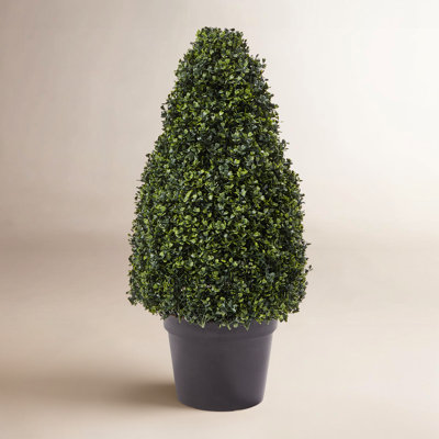 potted topiary trees