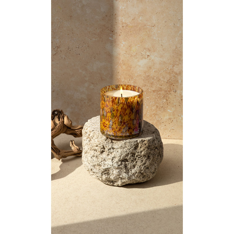 LAFCO New York Absolute Labdanum Candle | Perigold