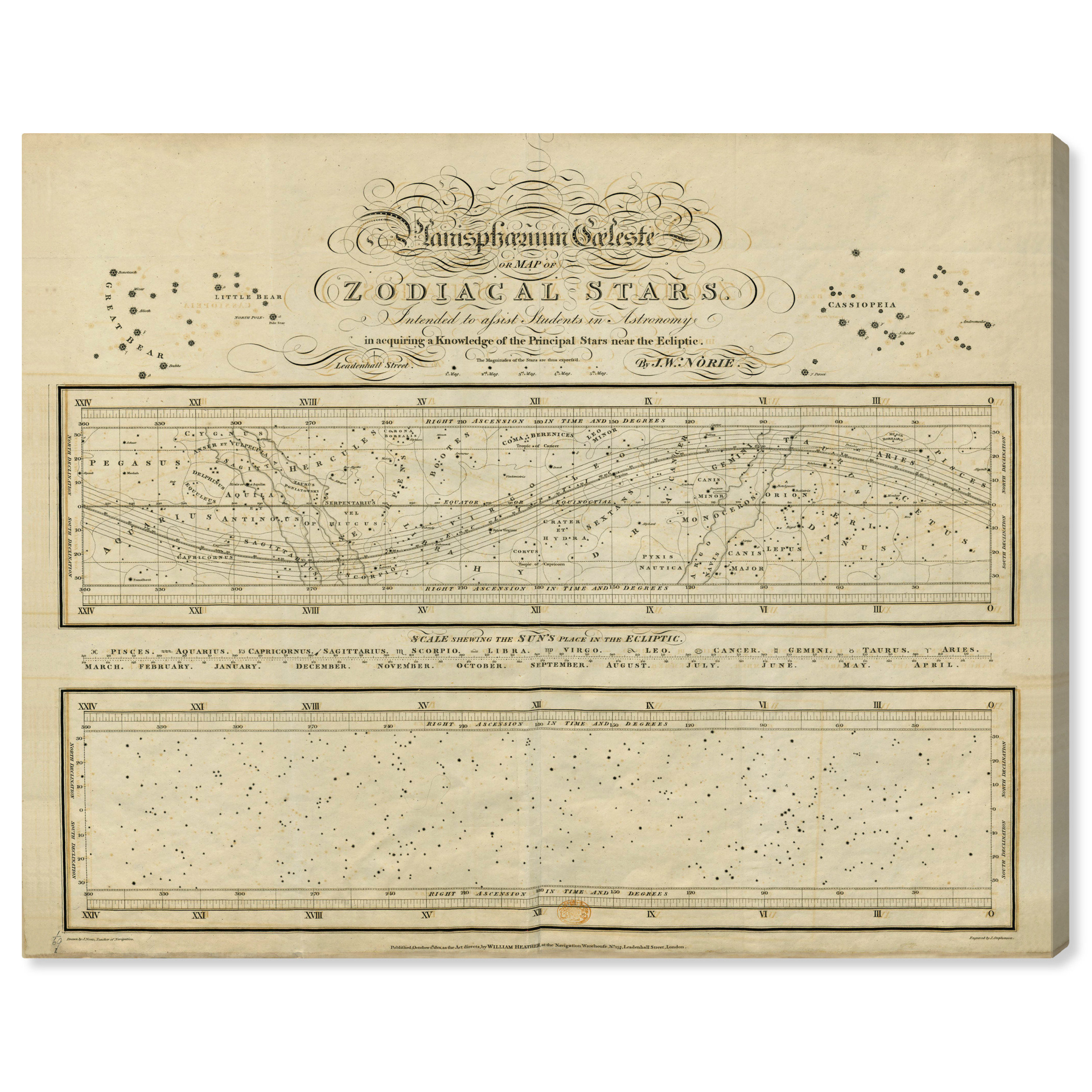 Oliver Gal Maps And Flags 'Vintage Celestial Map' Other Maps By Oliver ...