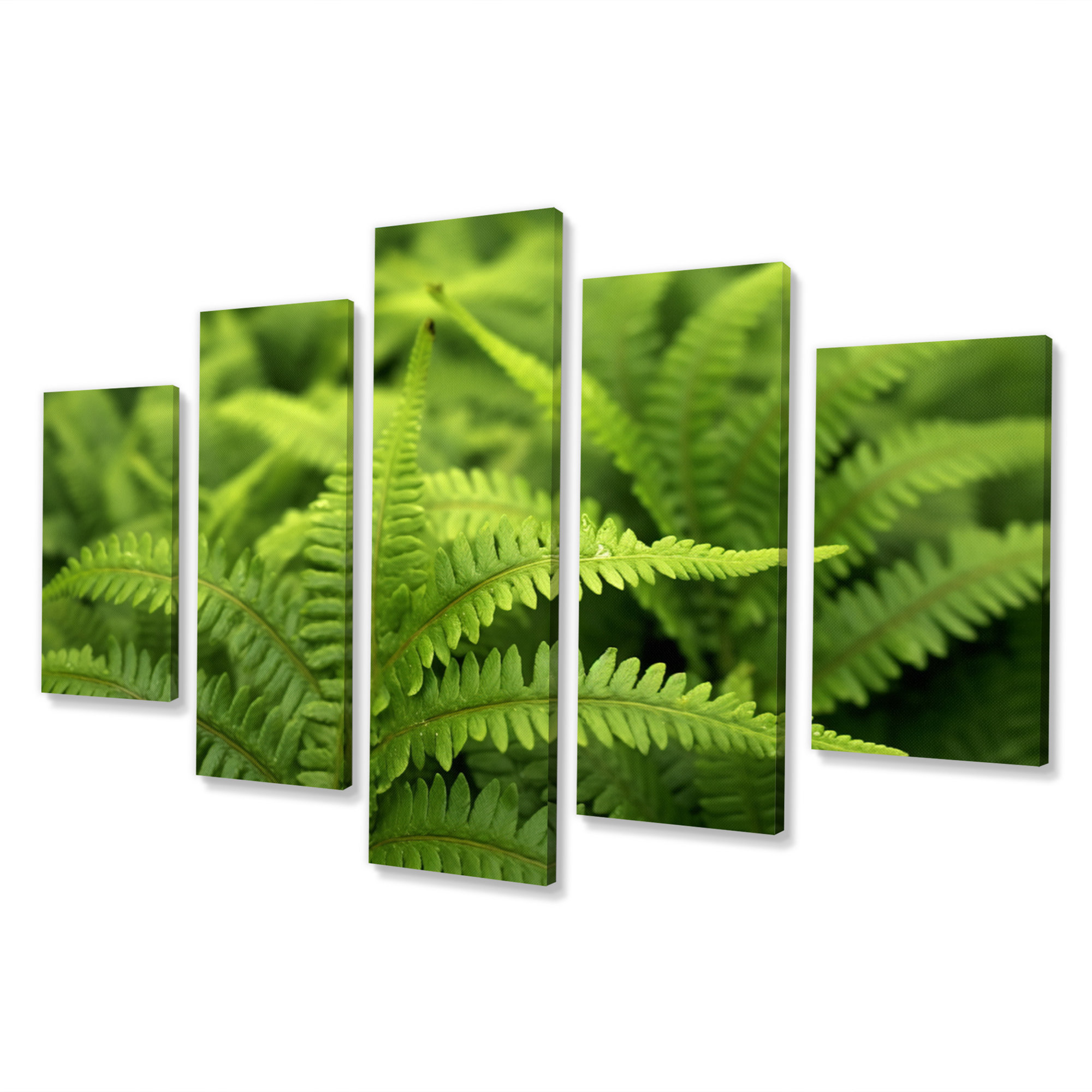 Design Art Green Fern Scenery II - Floral Canvas Art Print - 5 Panels ...