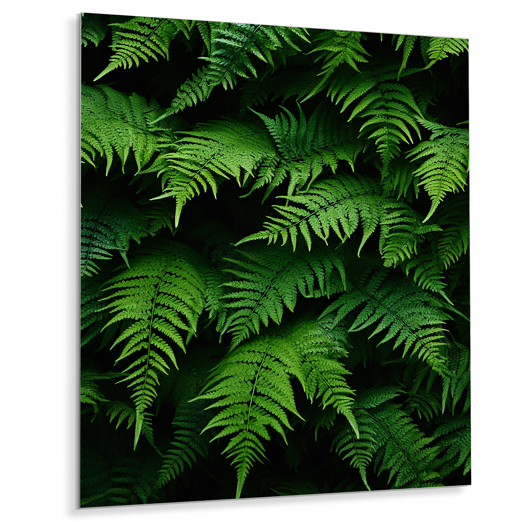 Gracie Oaks Ferns Plant Verdant Abundance I - Floral & Botanical Metal ...