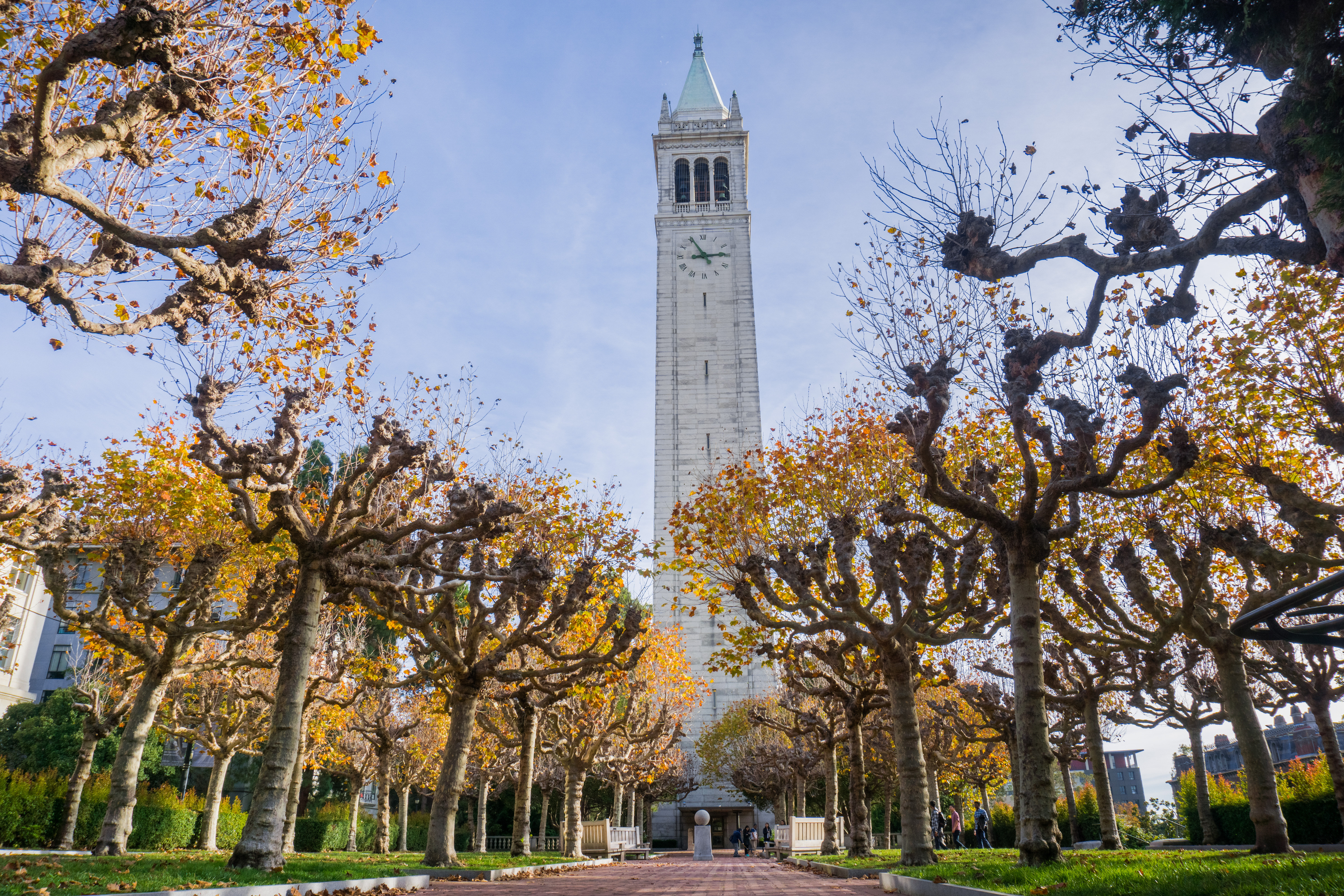 Hokku Designs Floice Uc Berkeley On Canvas Photograph | Wayfair