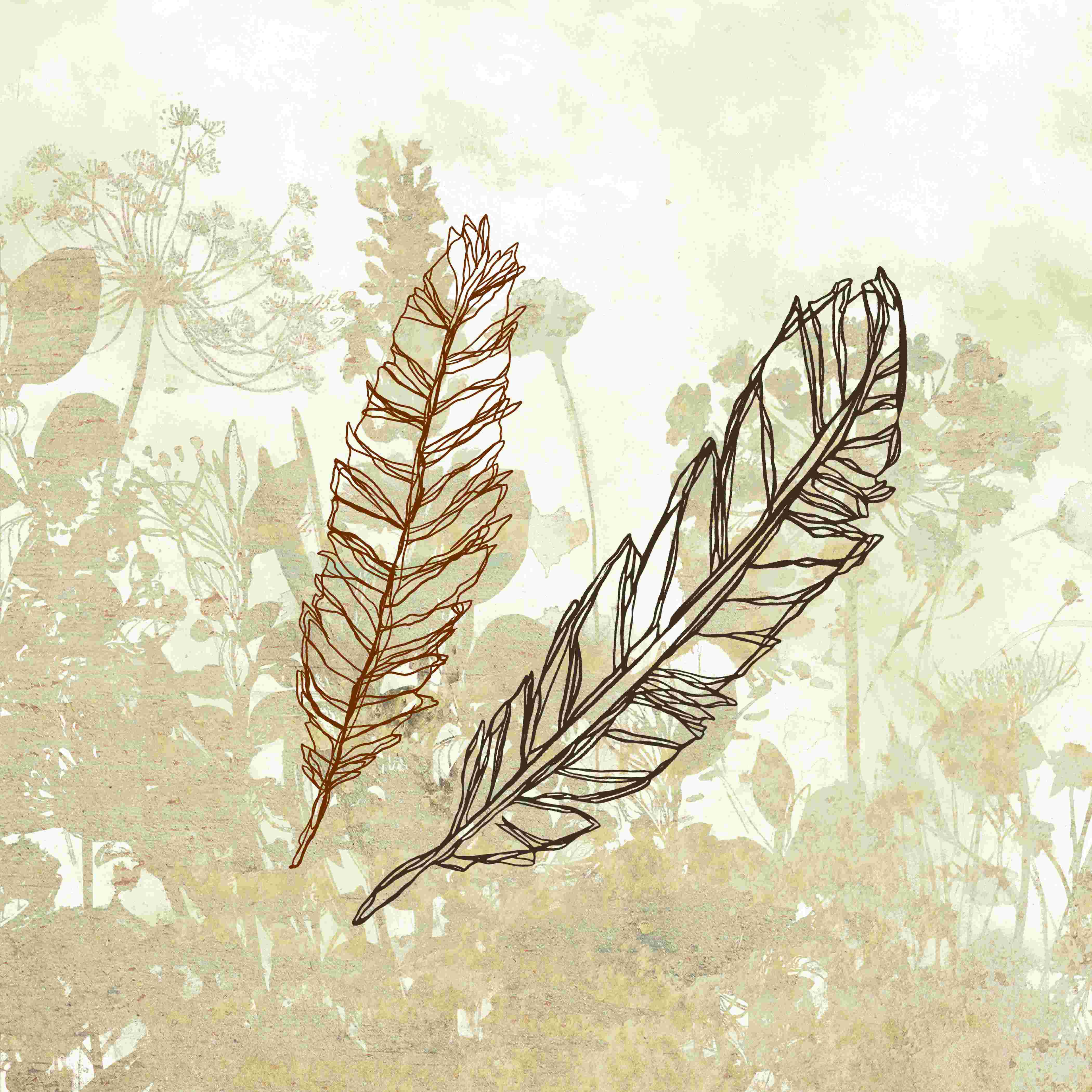 Dakota Fields Delicate Feathers - Wrapped Canvas Print | Wayfair