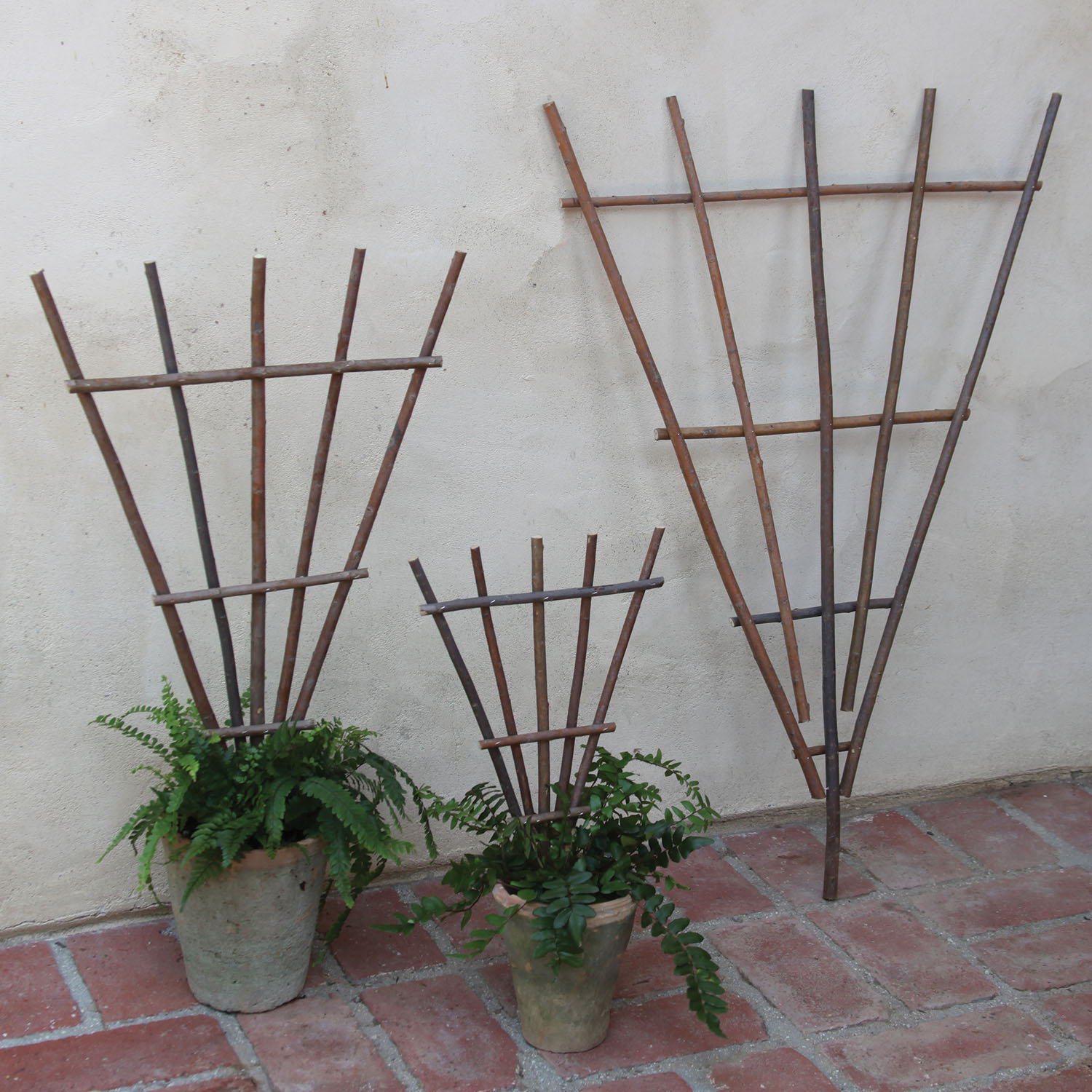 August Grove Corbett Twig Trellis Stake - Wayfair Canada