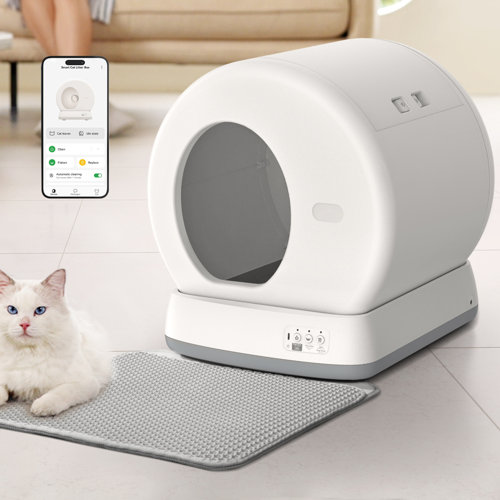 Automatic Litter Boxes You'll Love | Wayfair