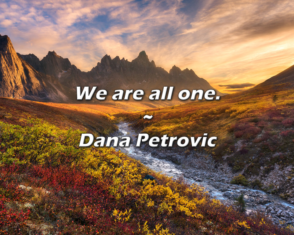 Trinx Dana Petrovic Quote: We are all one. - Wayfair Canada