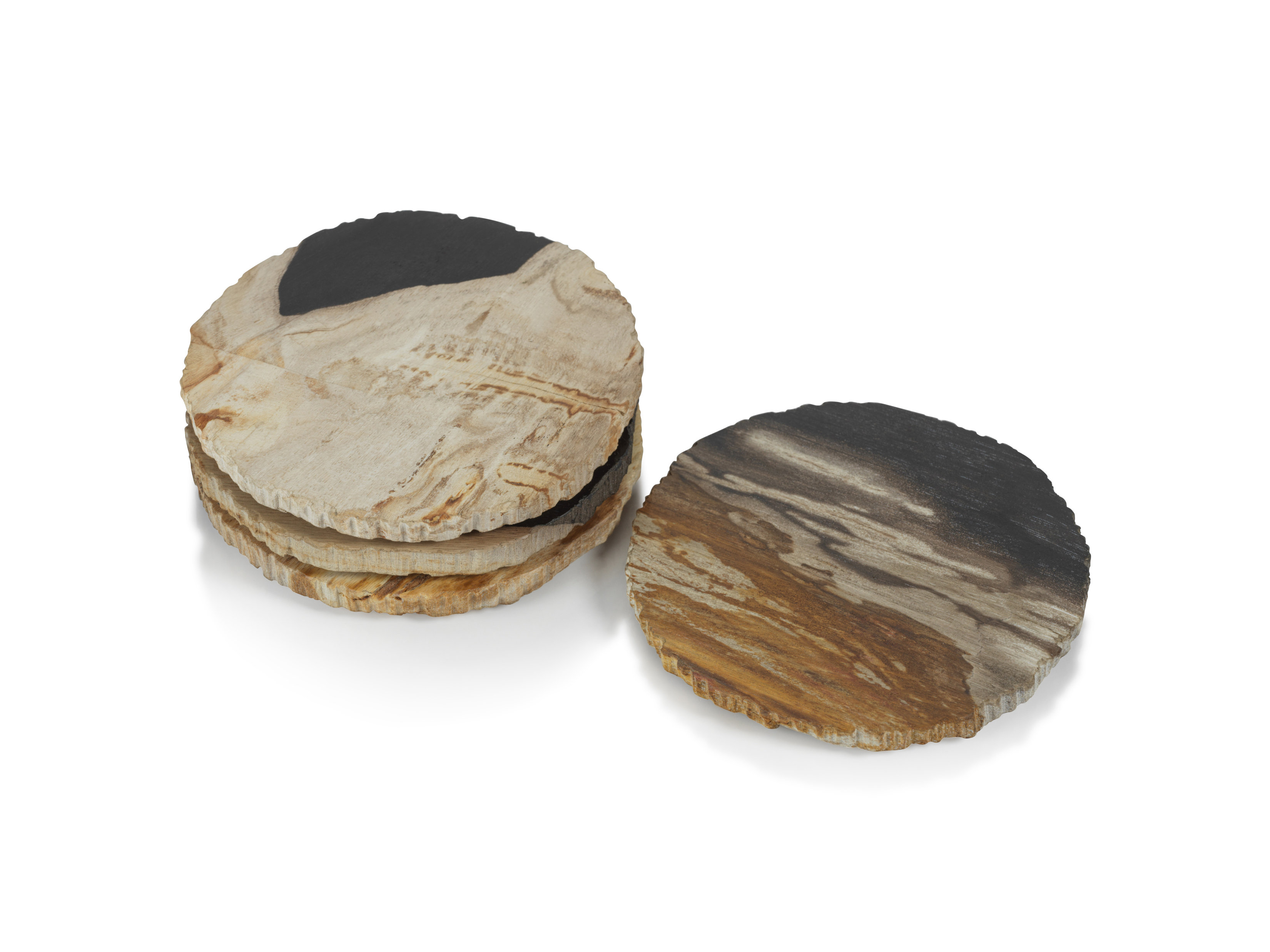 Zodax Plover 4" Petrified Wood Coasters, Set of 4 | Wayfair