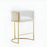Light Interiors Maluma Counter Stool | Wayfair