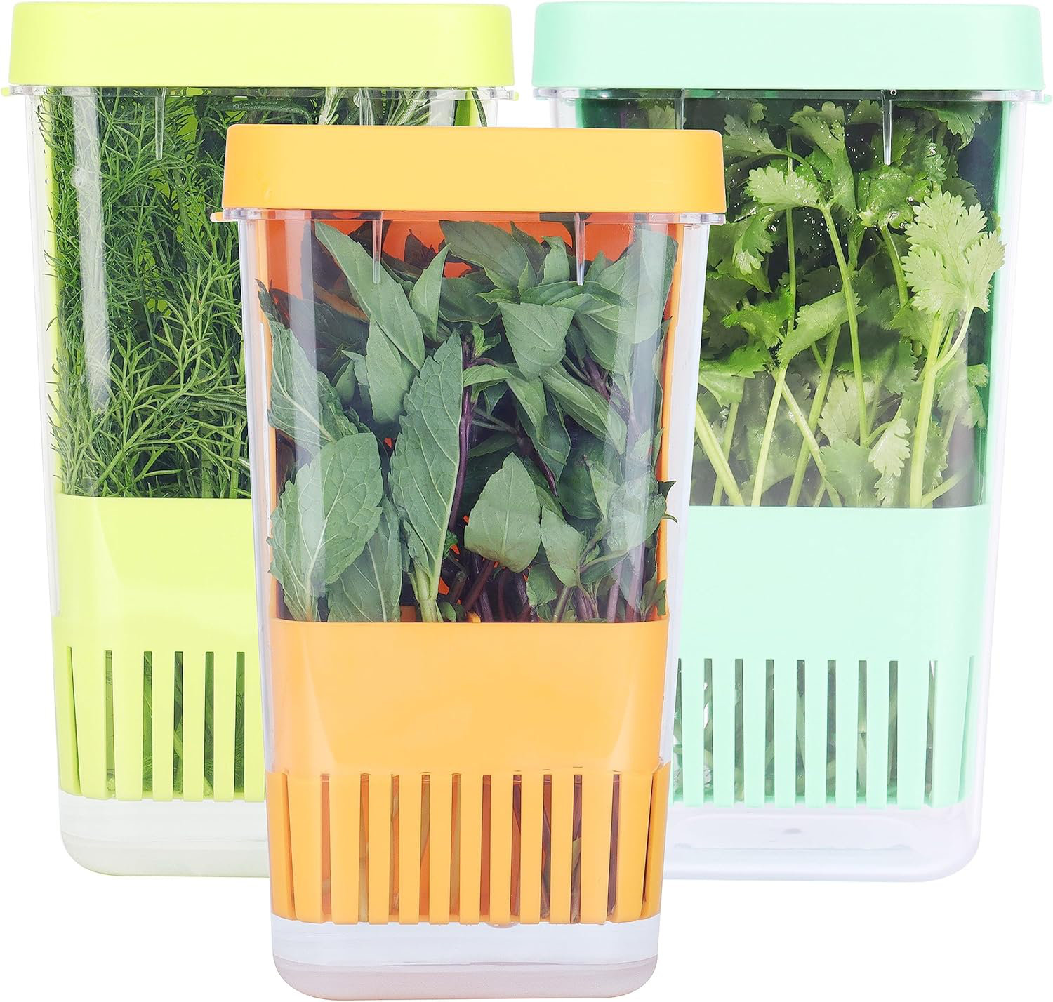 Prep & Savour 3 Pack Fresh Herb Keeper For Refrigerator, Clear BPA-Free ...