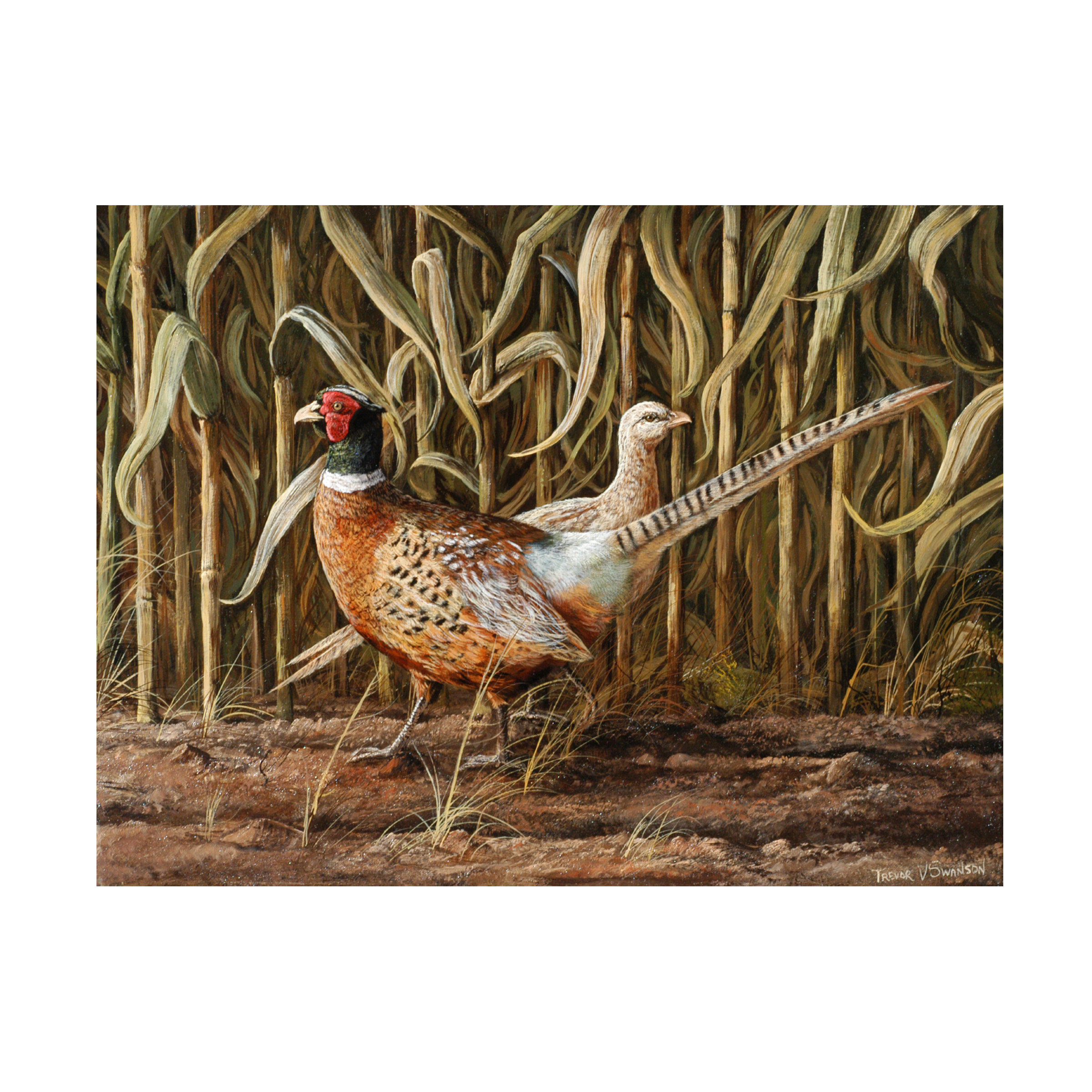 Winston Porter From Cover On Canvas by Trevor V. Swanson Canvas Art ...