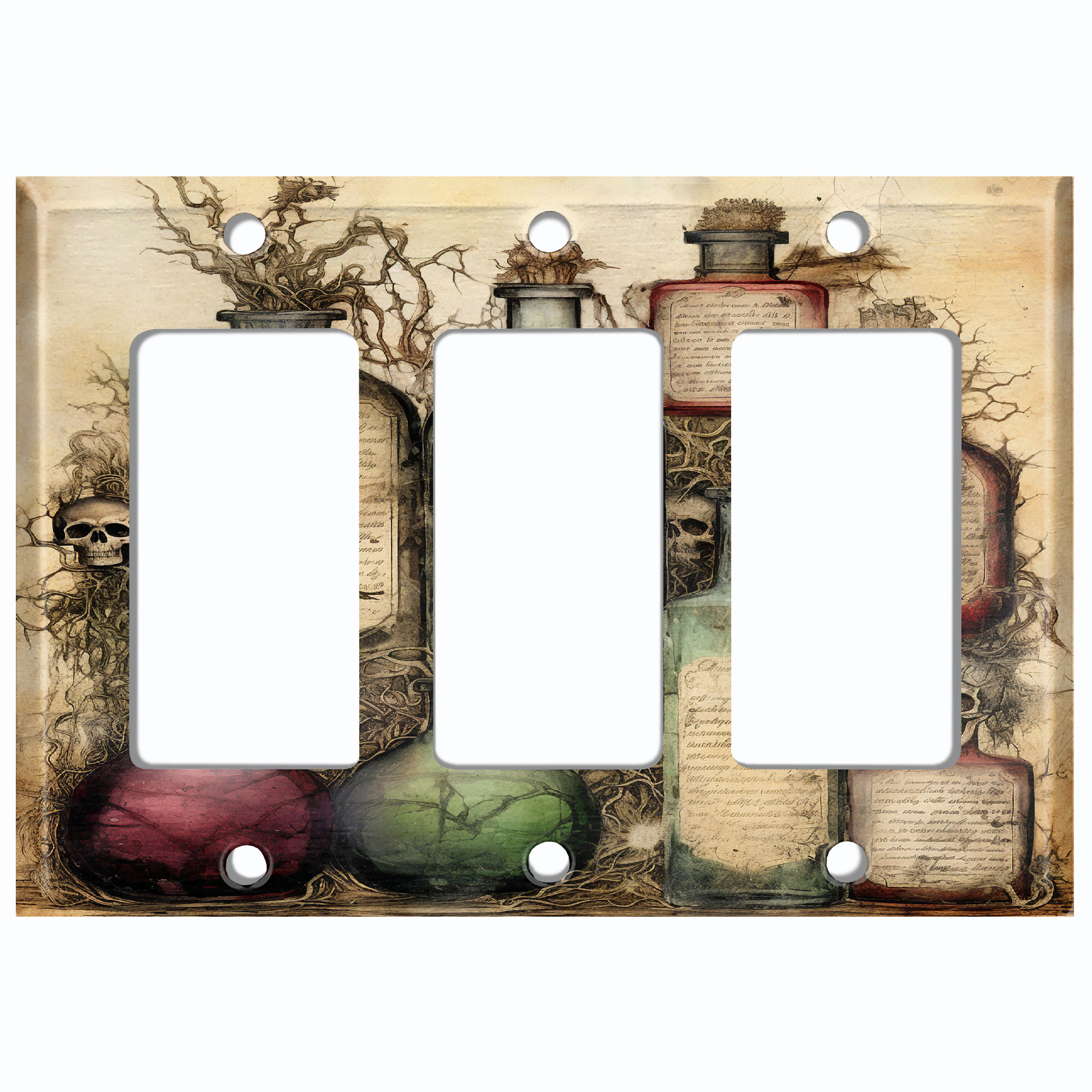 WorldAcc Metal Light Switch Plate Outlet Cover (Halloween Potion ...