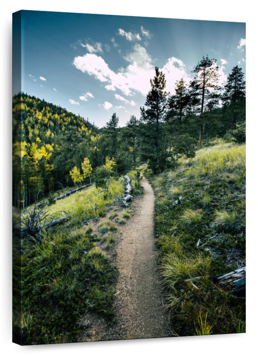 Millwood Pines Alvord Colorado Springs Countryside Hike | Wayfair