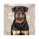 ClassicLiving Rottweiler by Keri Rodgers - Wrapped Canvas Painting ...