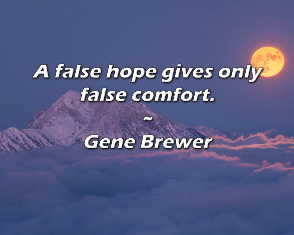 Trinx Gene Brewer Quote: A false hope gives only false comfort ...