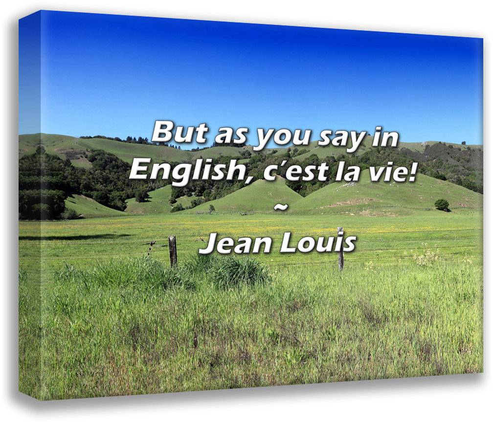 Trinx Jean Louis Quote: But as you say in English, c’est la vie! | Wayfair