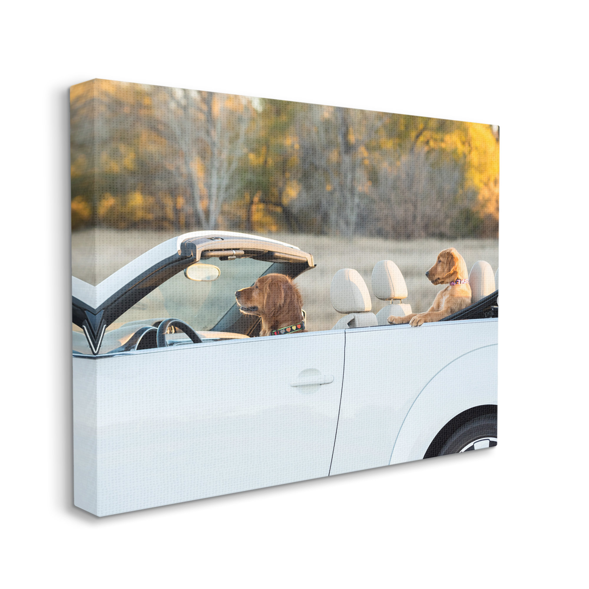 Trinx " Dogs Driving Convertible " by Karen Hoglund | Wayfair