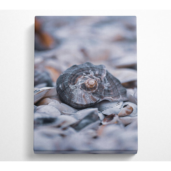 House of Hampton Gray Seashell Symphony | Wayfair.co.uk