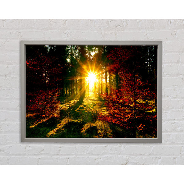 Union Rustic The Beaming Forest Sun - Single Picture Frame Art Prints ...