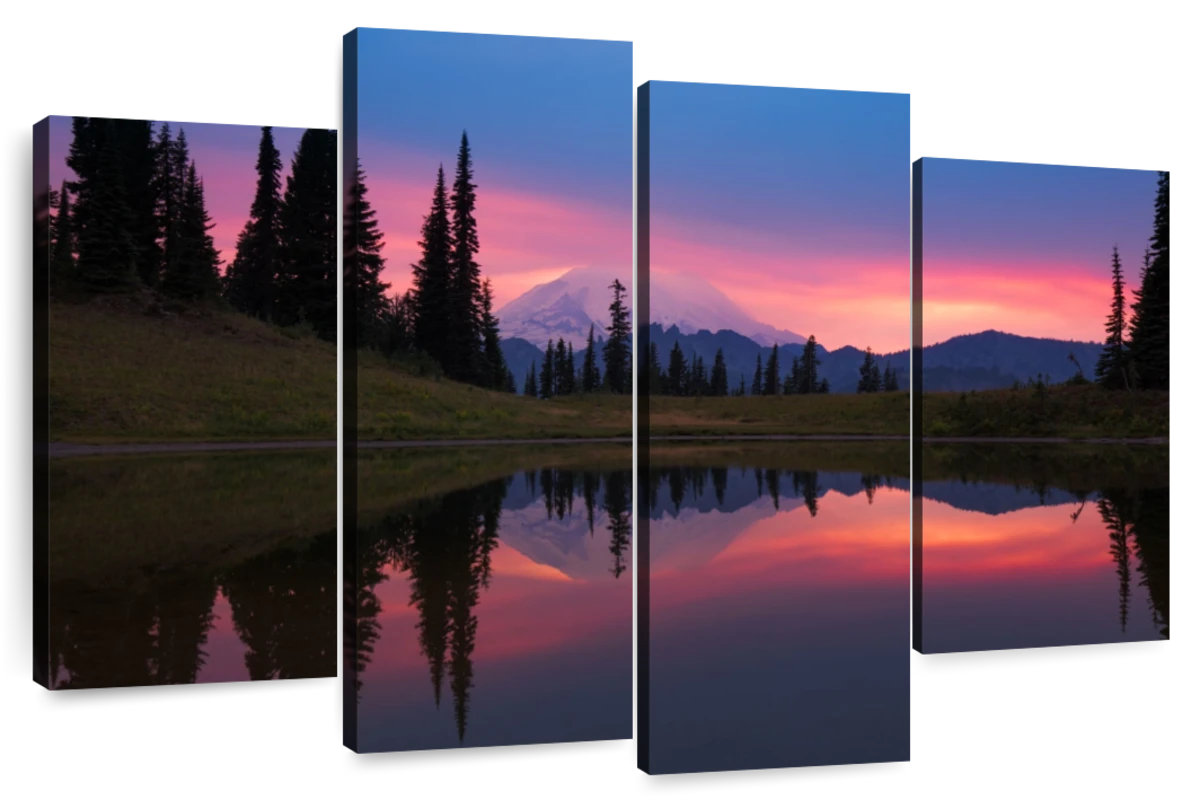 Elephant Stock Romantic Mount Rainier Sunset | Wayfair
