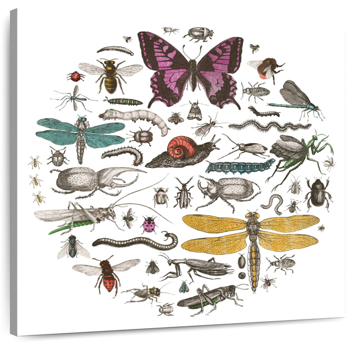 Ebern Designs Brampt Insect Circle II Bright | Wayfair