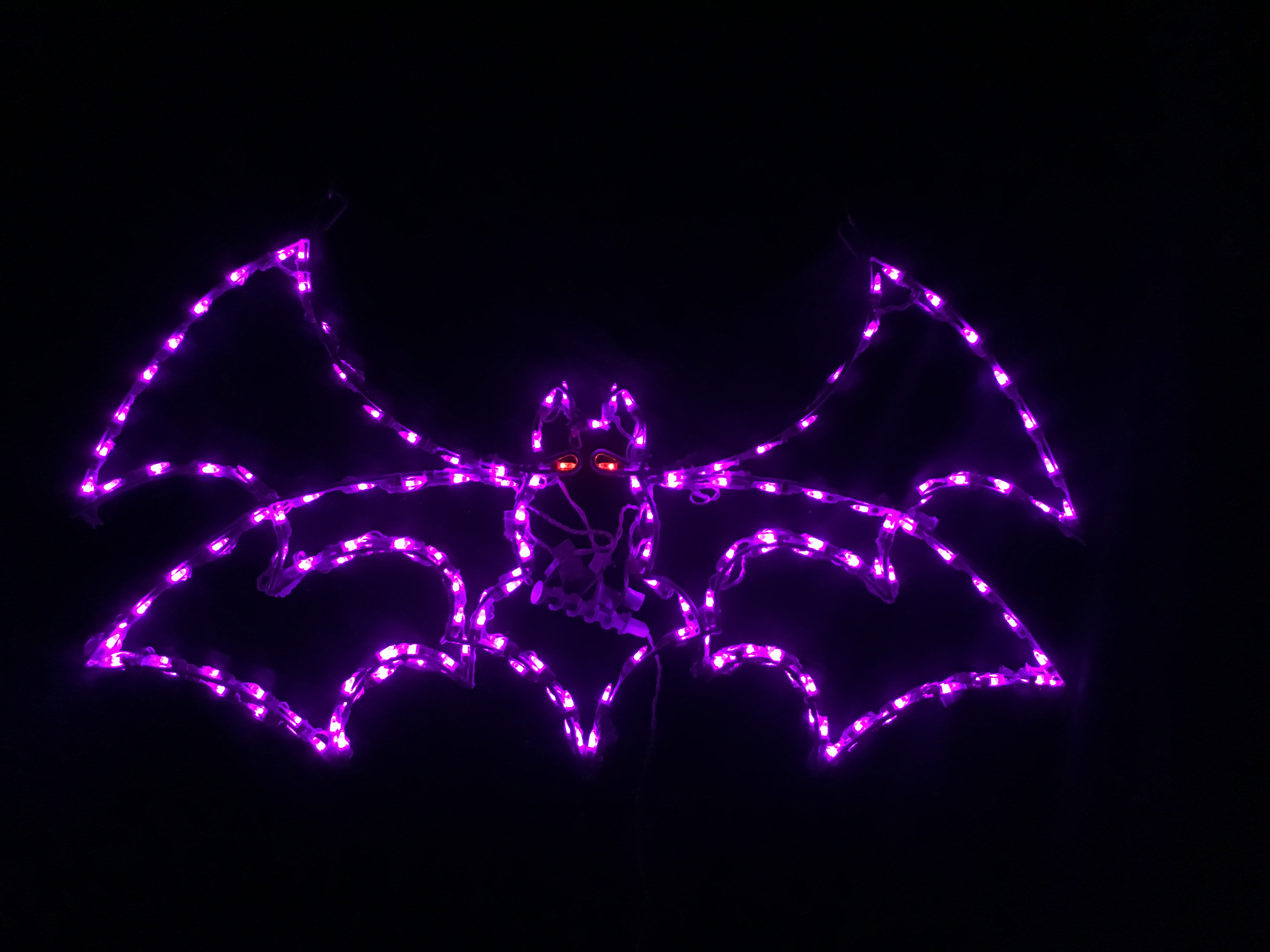 Lori's Lighted D'Lites Animated Hanging Bat Halloween Holiday Lighted ...