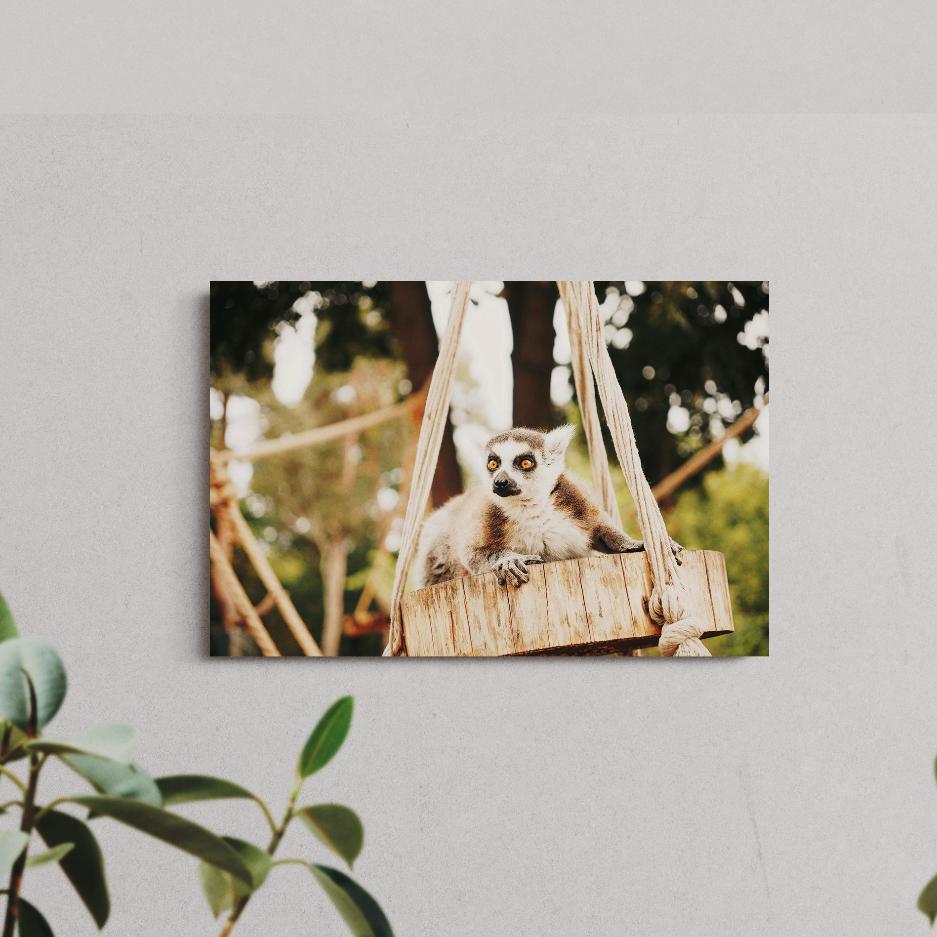 Bungalow Rose Lemur on Wooden Swing | Wayfair
