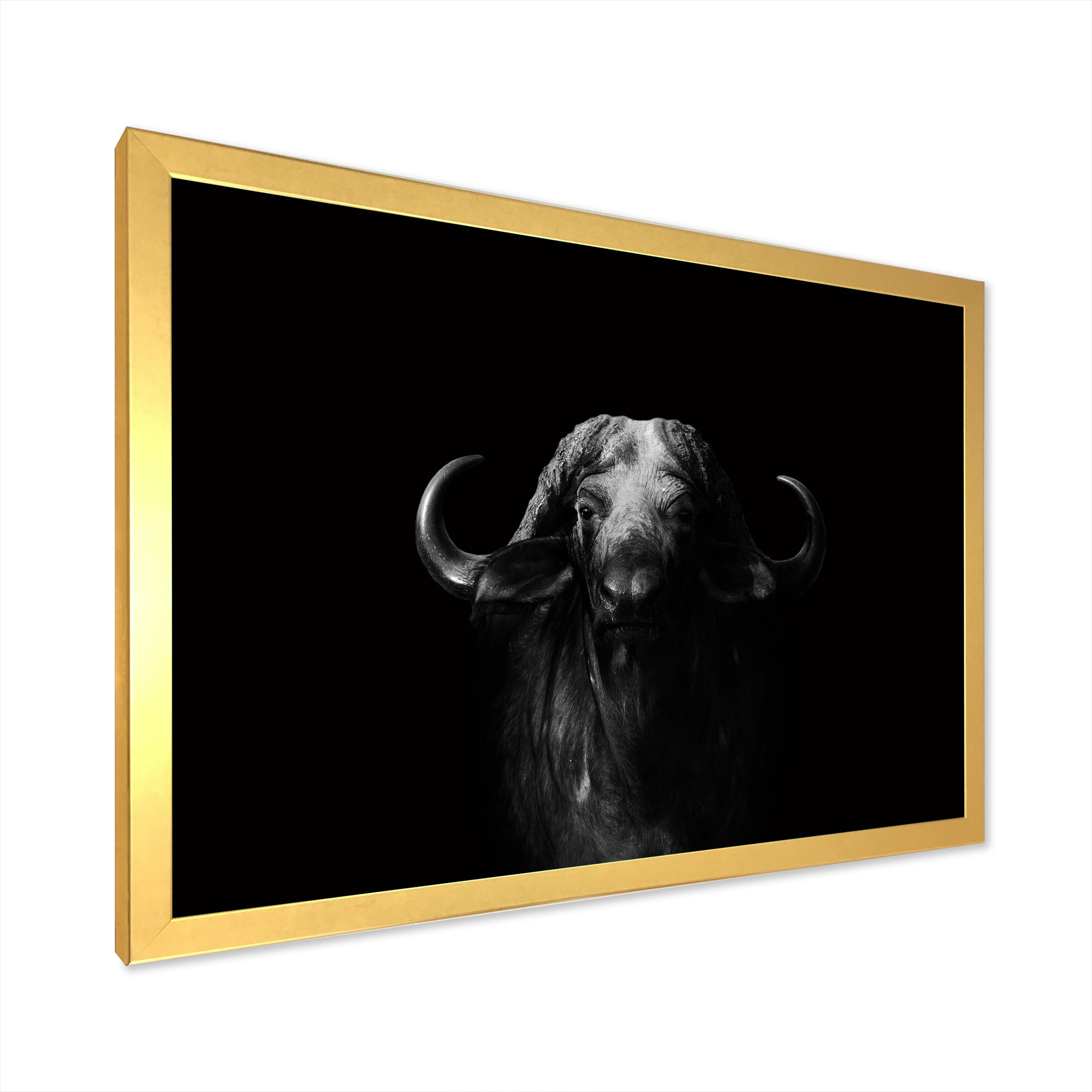 Gracie Oaks Buffalo In Black And White - Picture Frame Print on Canvas ...