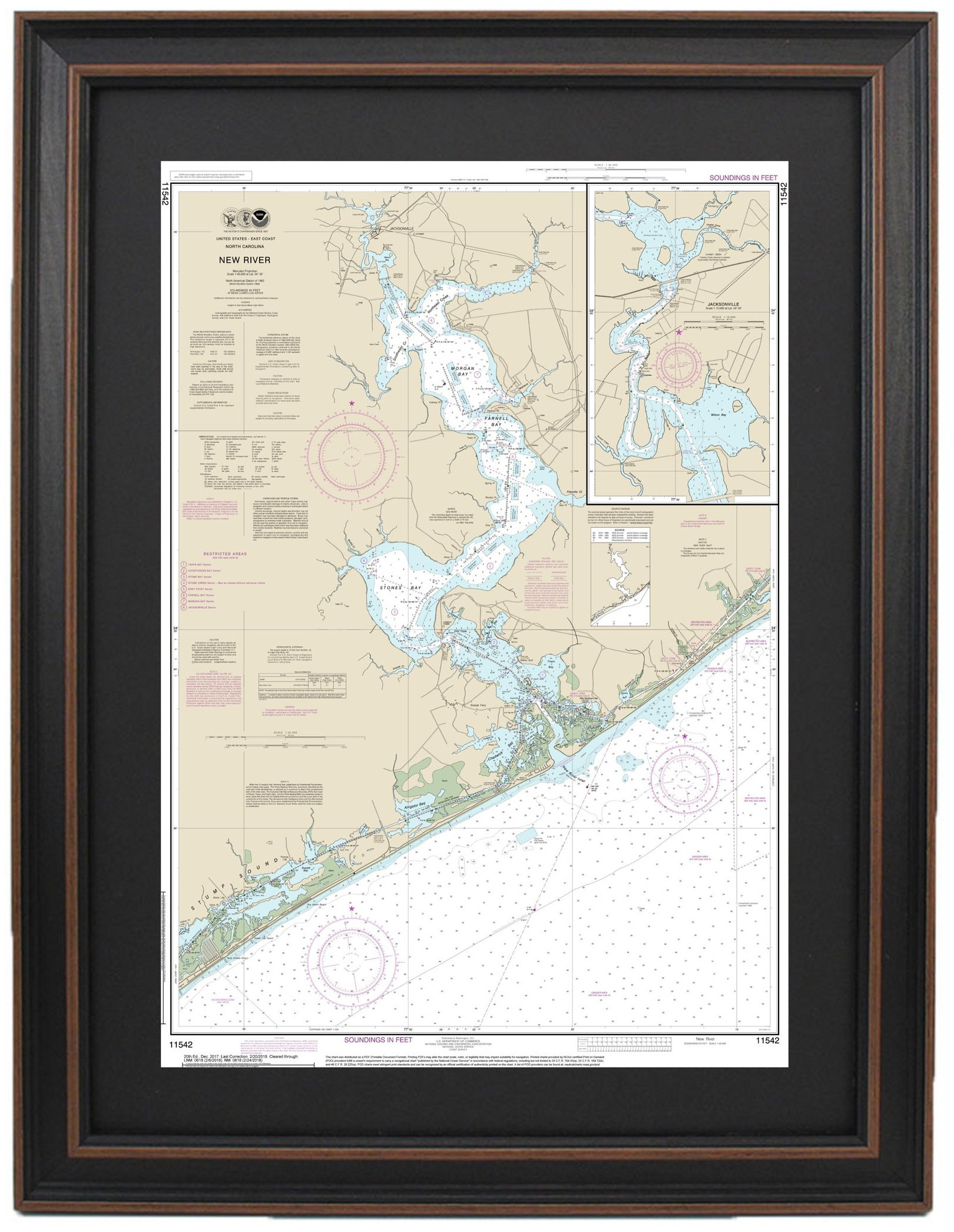 Longshore Tides New River | Nautical Chart | Framed Print | Wayfair