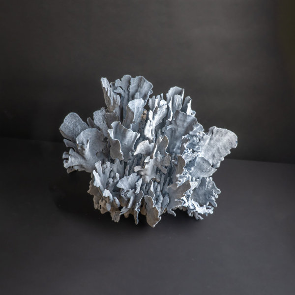 Astro Gallery of Gems Genuine Blue Ridge Coral (18", 25 Lbs) | Perigold